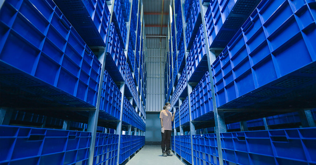 World’s Biggest Cricket Farm to Save the Planet – EatSens.com