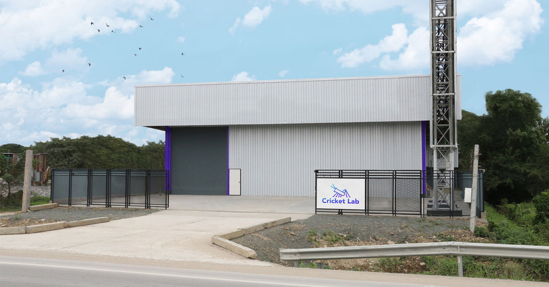 Cricket Farm Tour – What Does a Modern Cricket Farm Look Like ...