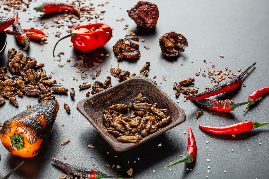 Sens Roasted Crunchy Crickets | Edible Insects Protein Snack Gift Idea ...