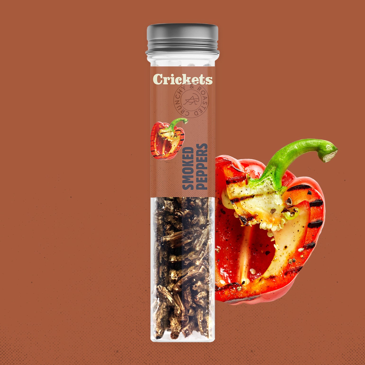 Sens Roasted Crickets Tube - Edible Insects - Protein of the Future ...
