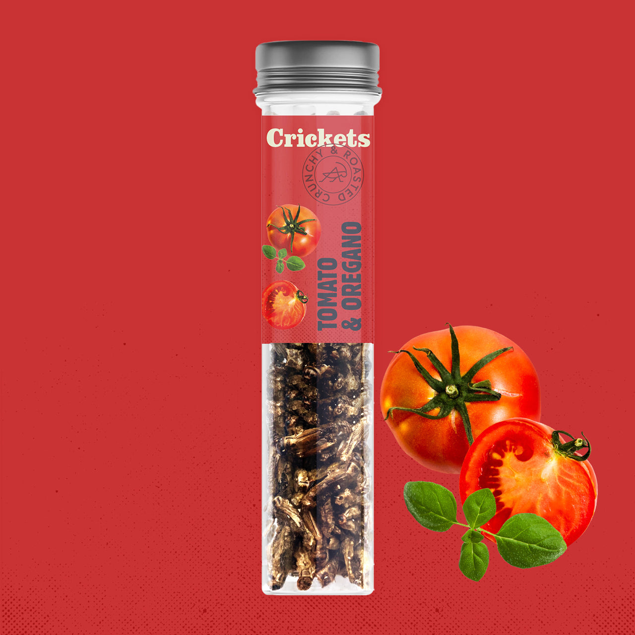 Sens Roasted Crickets Tube - Edible Insects - Protein of the Future ...