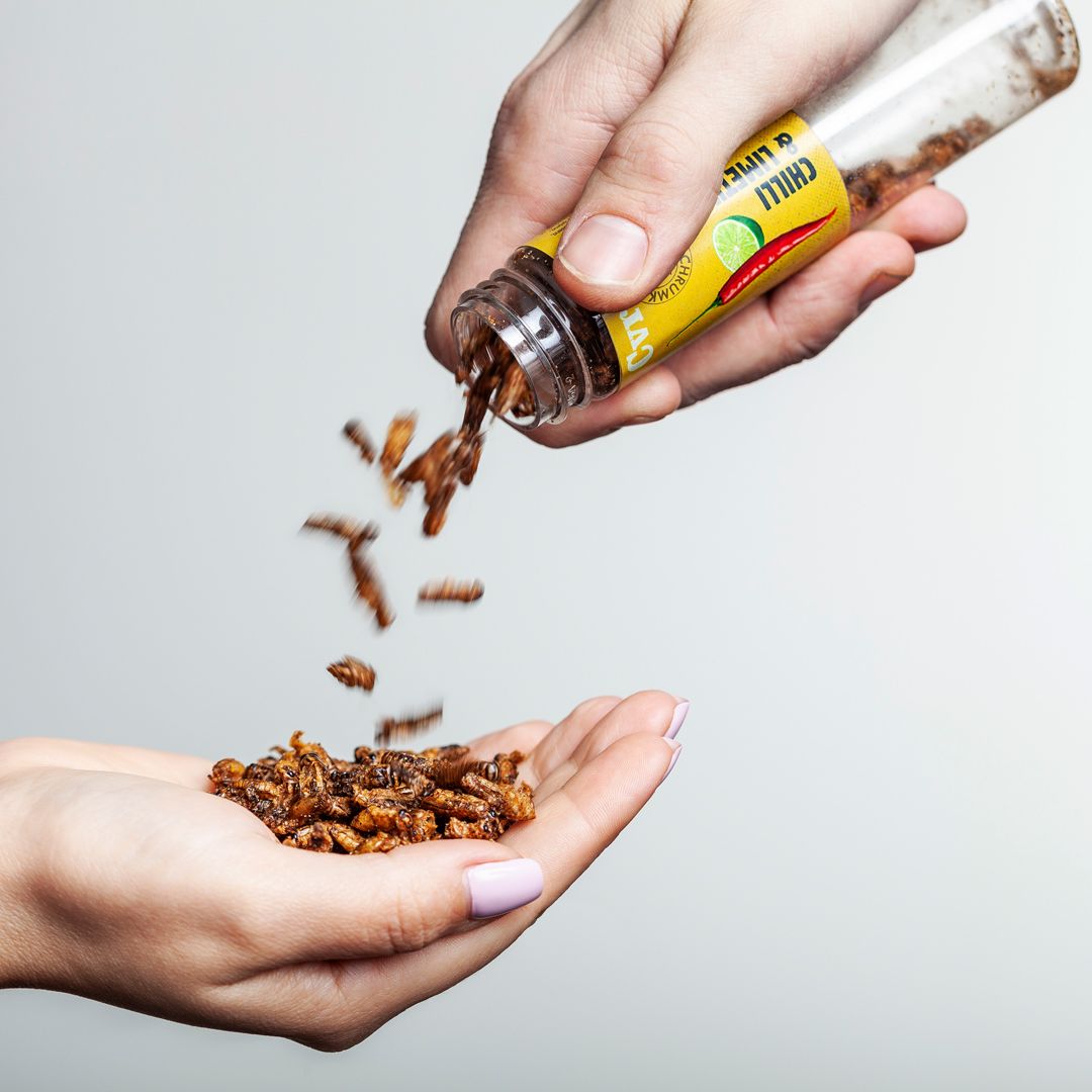 Sens Roasted Crickets Tube - Edible Insects - Protein of the Future ...
