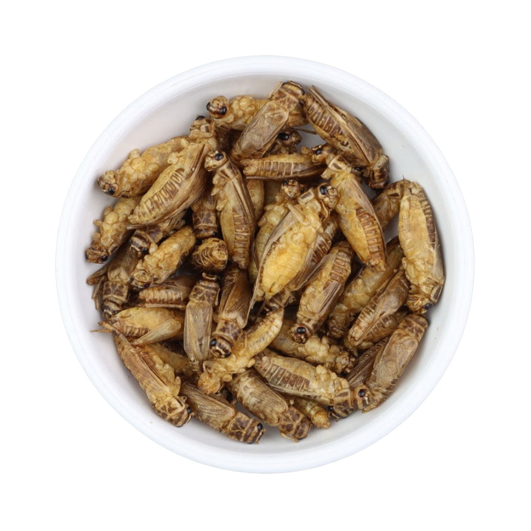 Unseasoned dried crickets | Sens Foods – EatSens.com